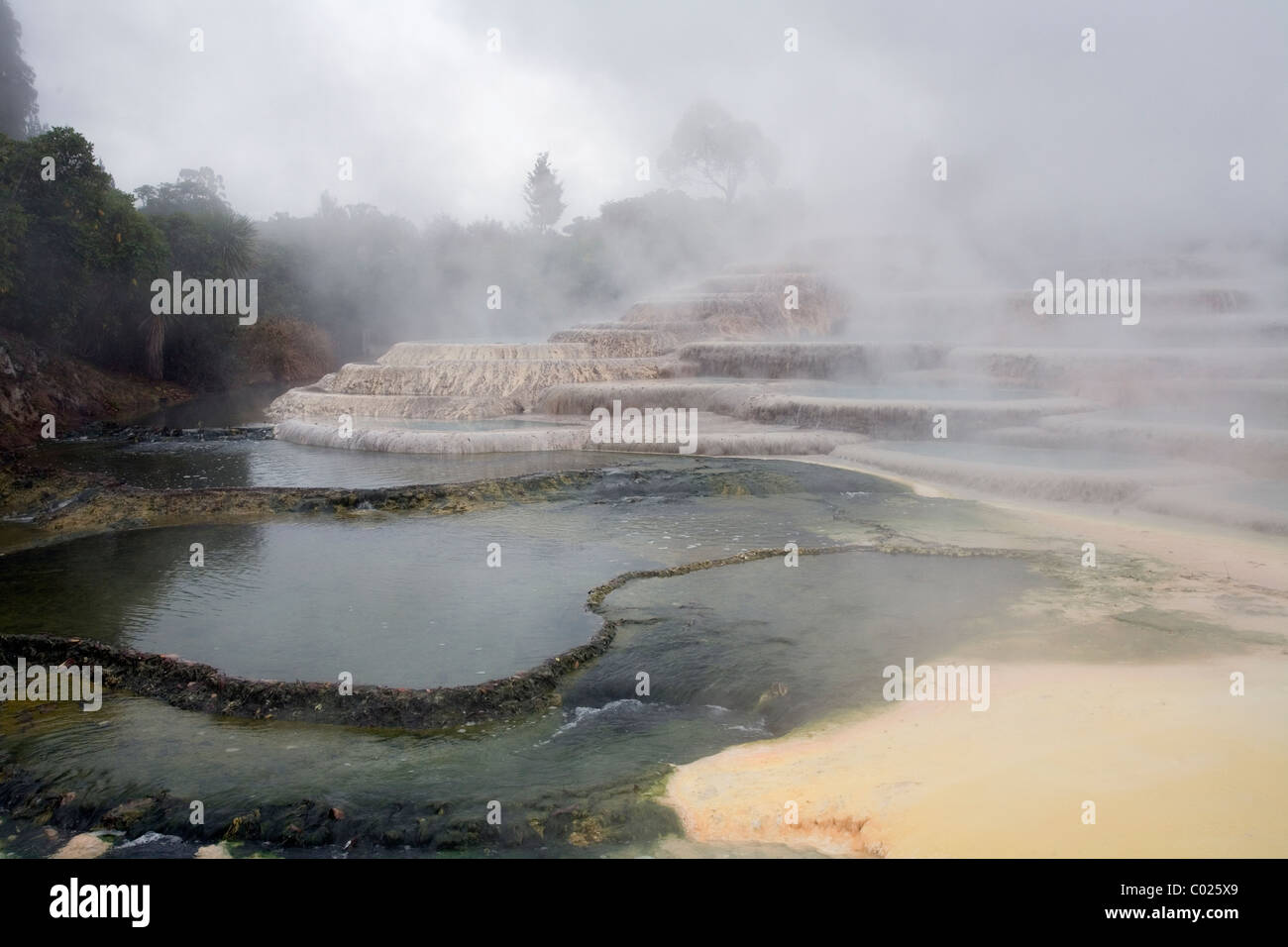 mud pools, Wai-O-Tapu Thermal Wonderland, between Taupo and Rotorua ...