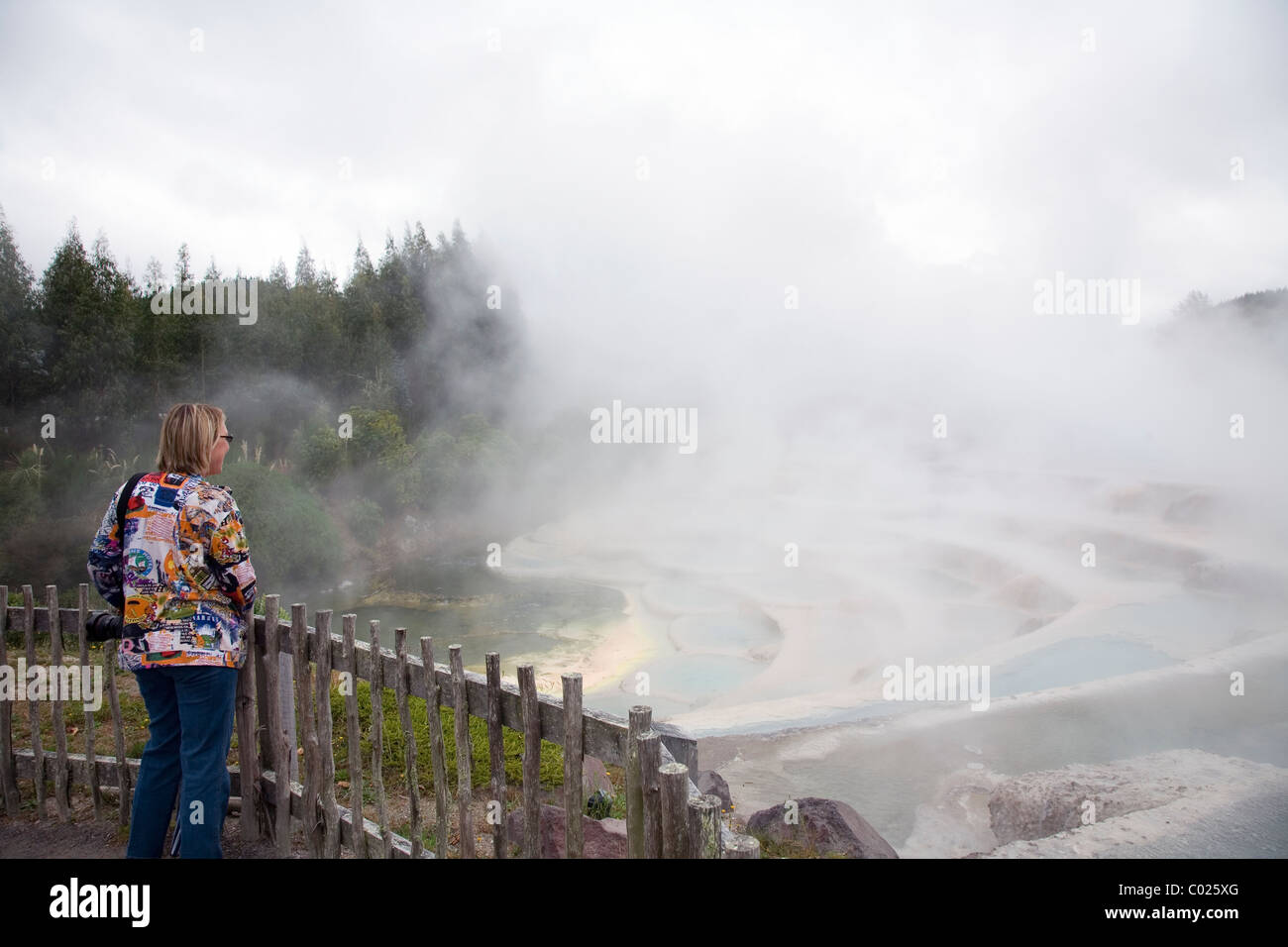 mud pools, Wai-O-Tapu Thermal Wonderland, between Taupo and Rotorua ...