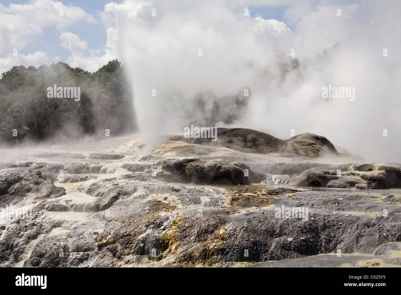 mud pools, Wai-O-Tapu Thermal Wonderland, between Taupo and Rotorua ...