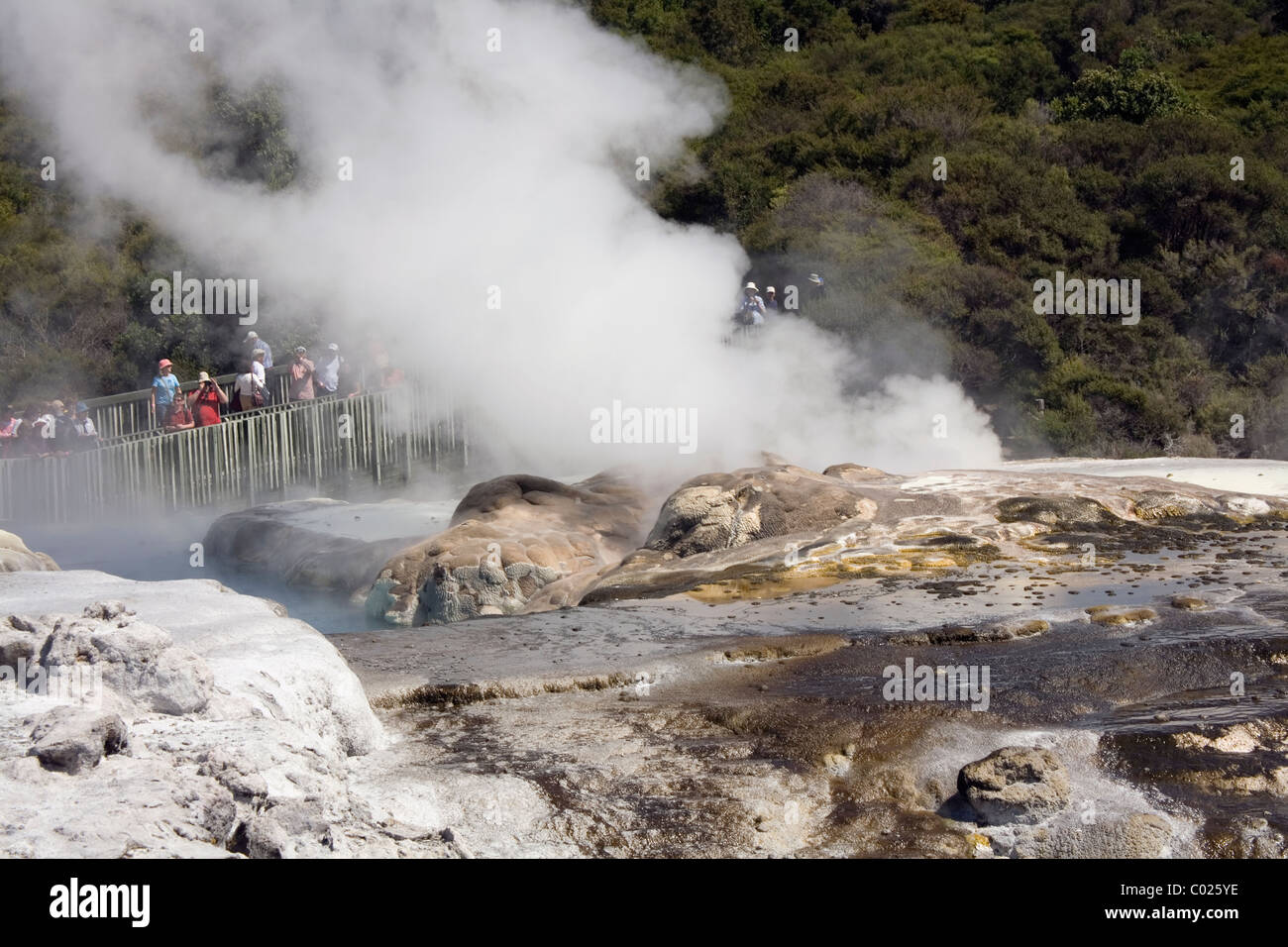 mud pools, Wai-O-Tapu Thermal Wonderland, between Taupo and Rotorua ...