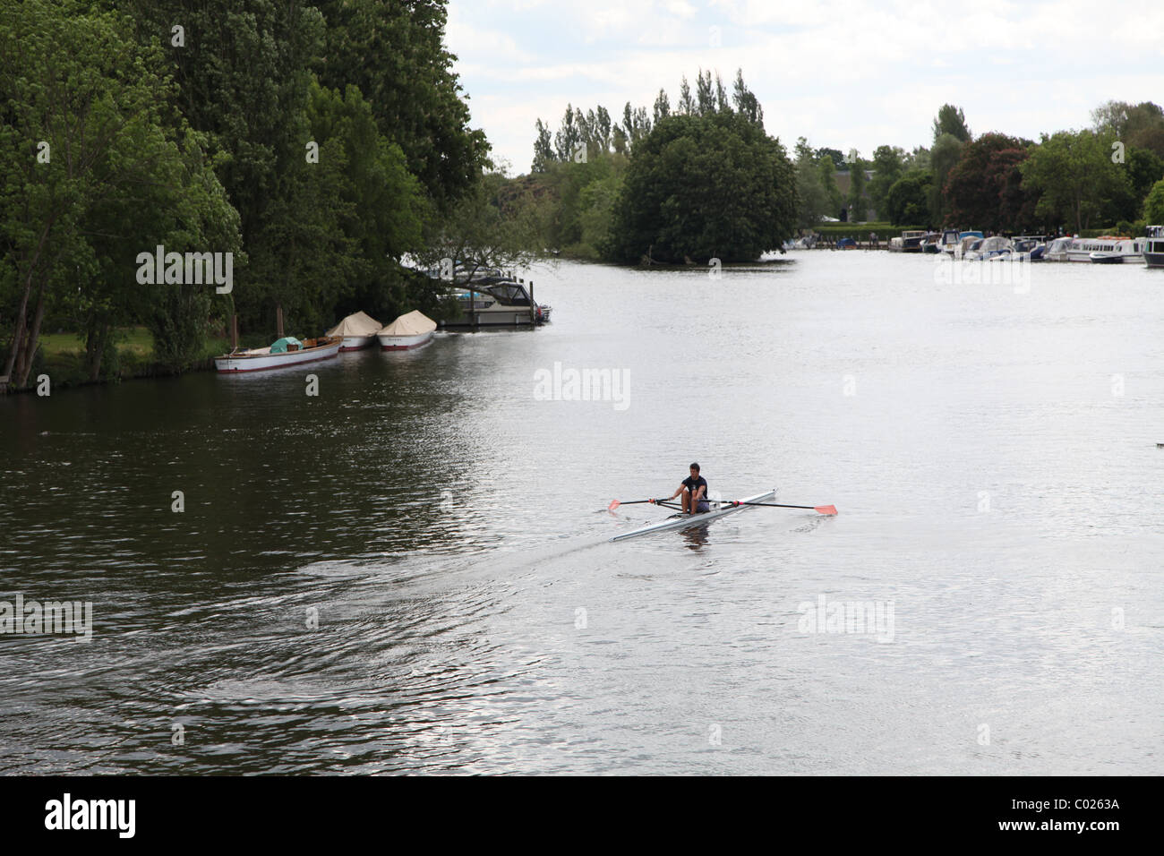 Sculler rowing on River Thames in Henley Stock Photo - Alamy
