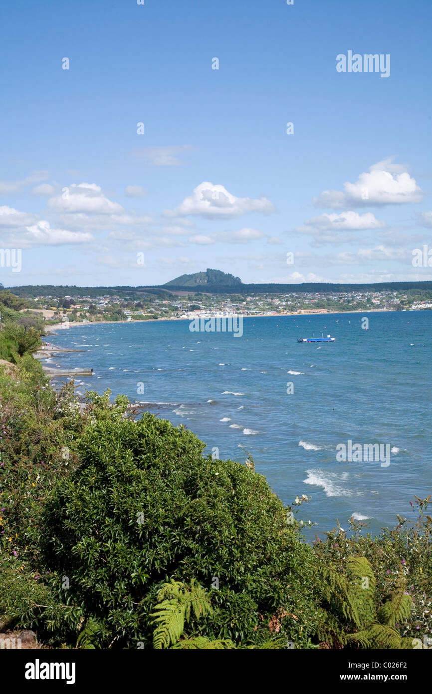viewing the ocean in New Zealand Stock Photo - Alamy