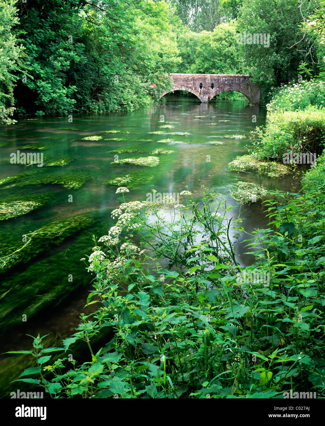 River wylye wiltshire hi-res stock photography and images - Alamy