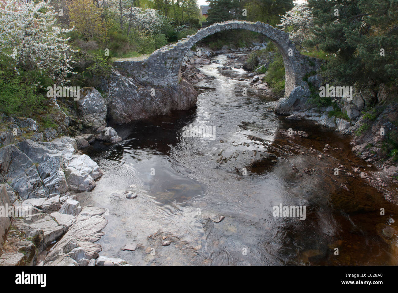 pack horse bridge village of carrbridge Stock Photo - Alamy