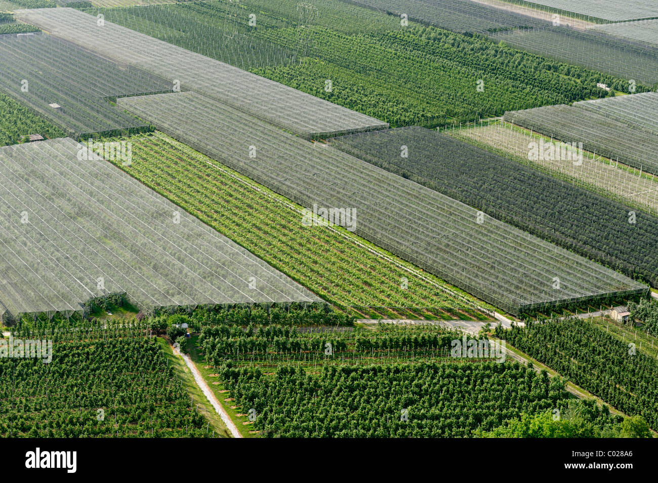 The fruit fields hi-res stock photography and images - Alamy