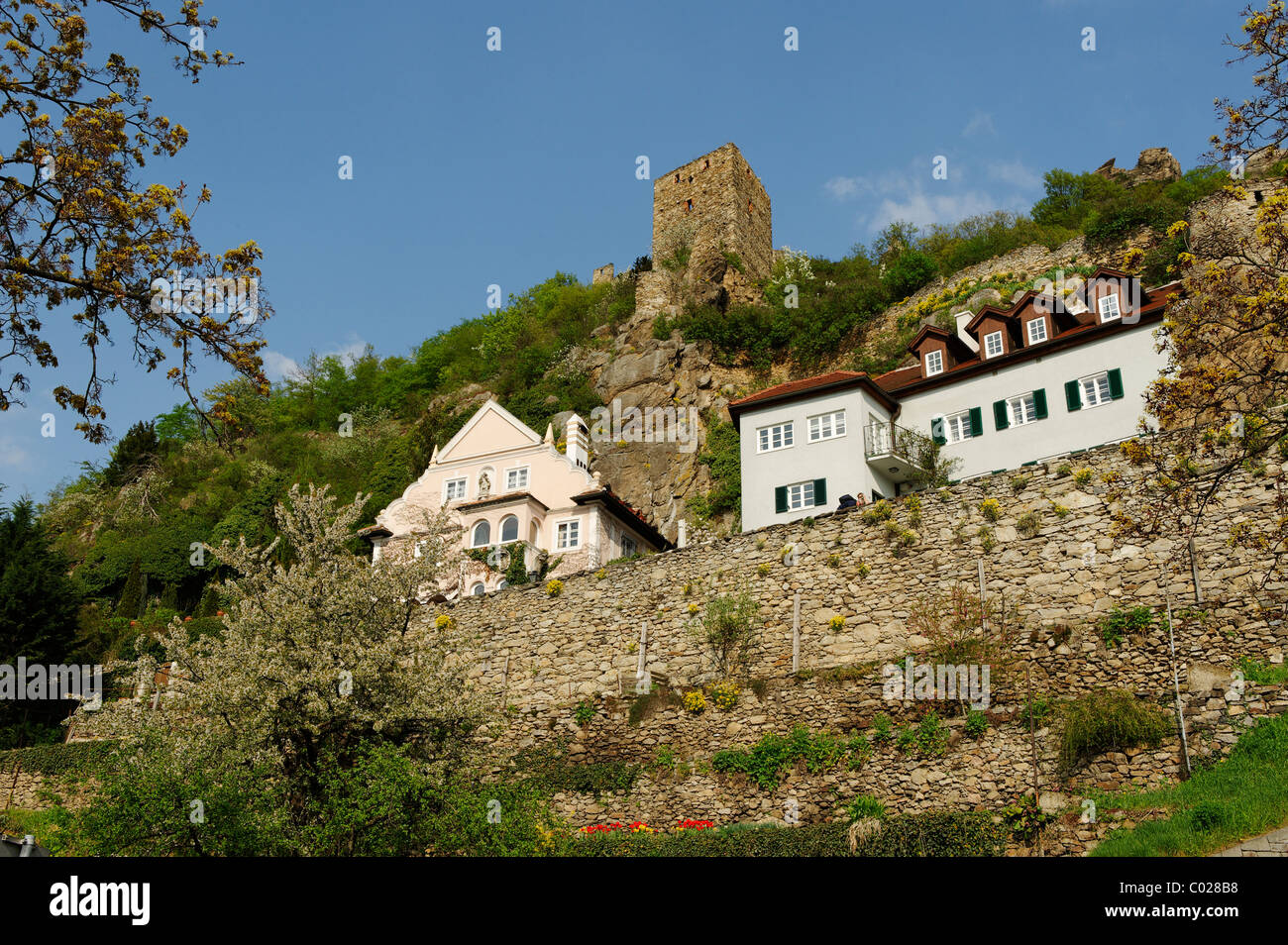 Ruine Duernstein castle ruins, Wachau, Lower Austria, Europe Stock ...