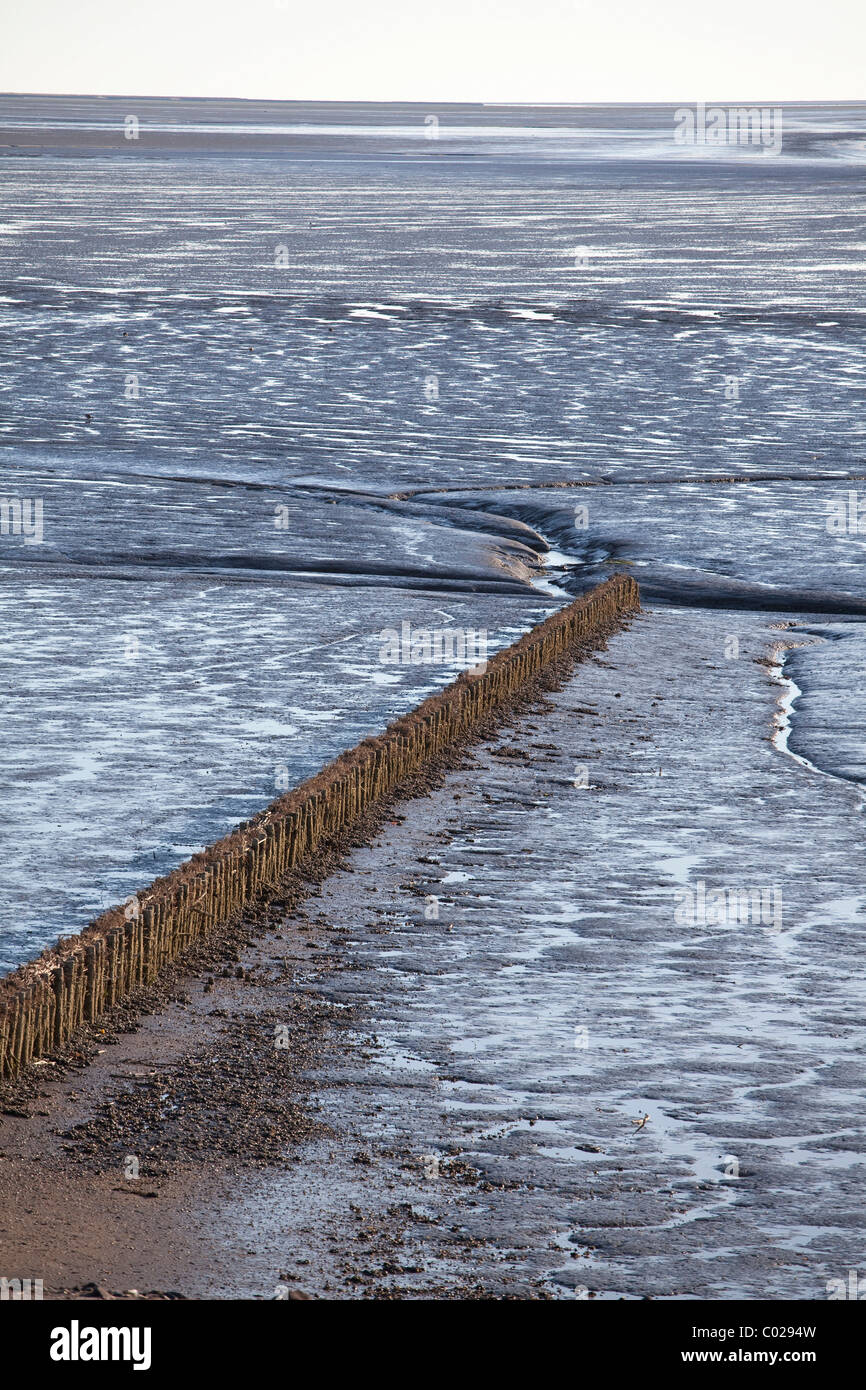 Intertidal mudflats sea hi-res stock photography and images - Alamy