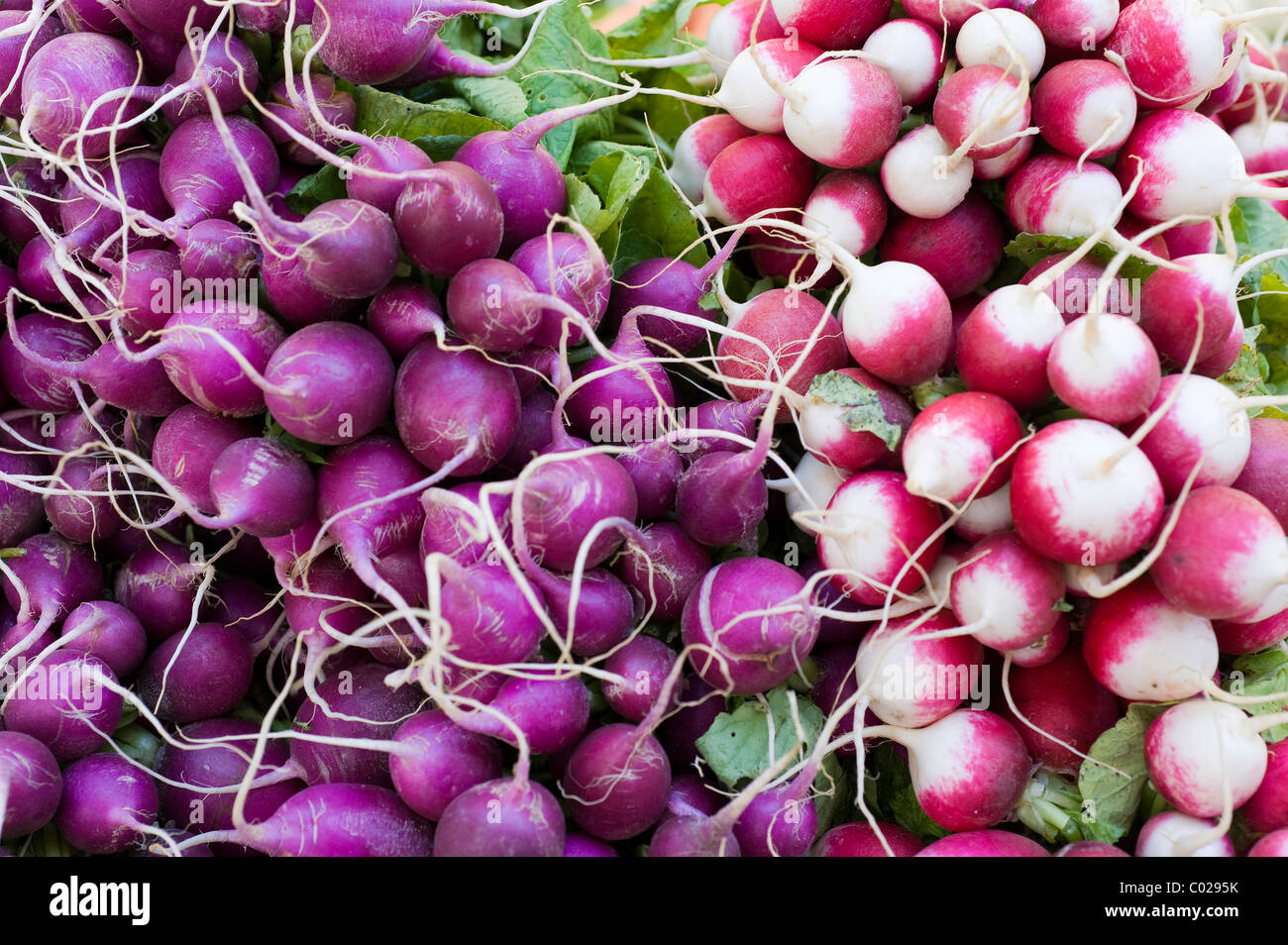 French radishes, stall on the Viktualienmarkt food market, Munich ...