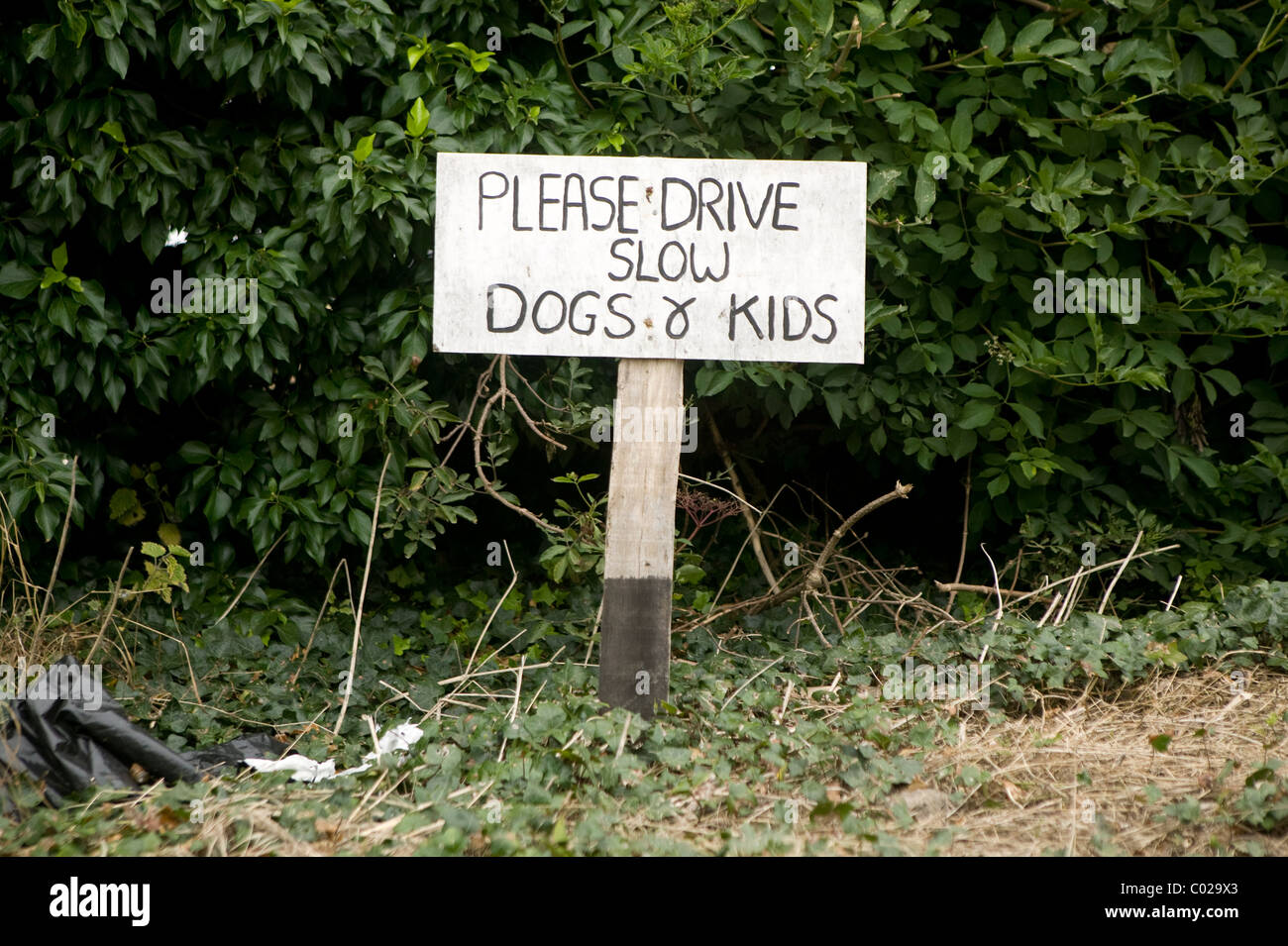 Please drive slow dogs & kids sign in country lane Stock Photo - Alamy