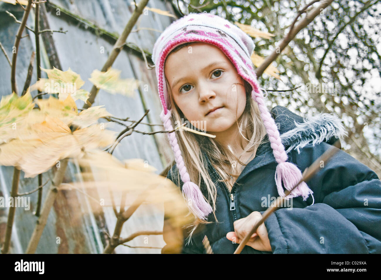 Branch shaking hi-res stock photography and images - Alamy