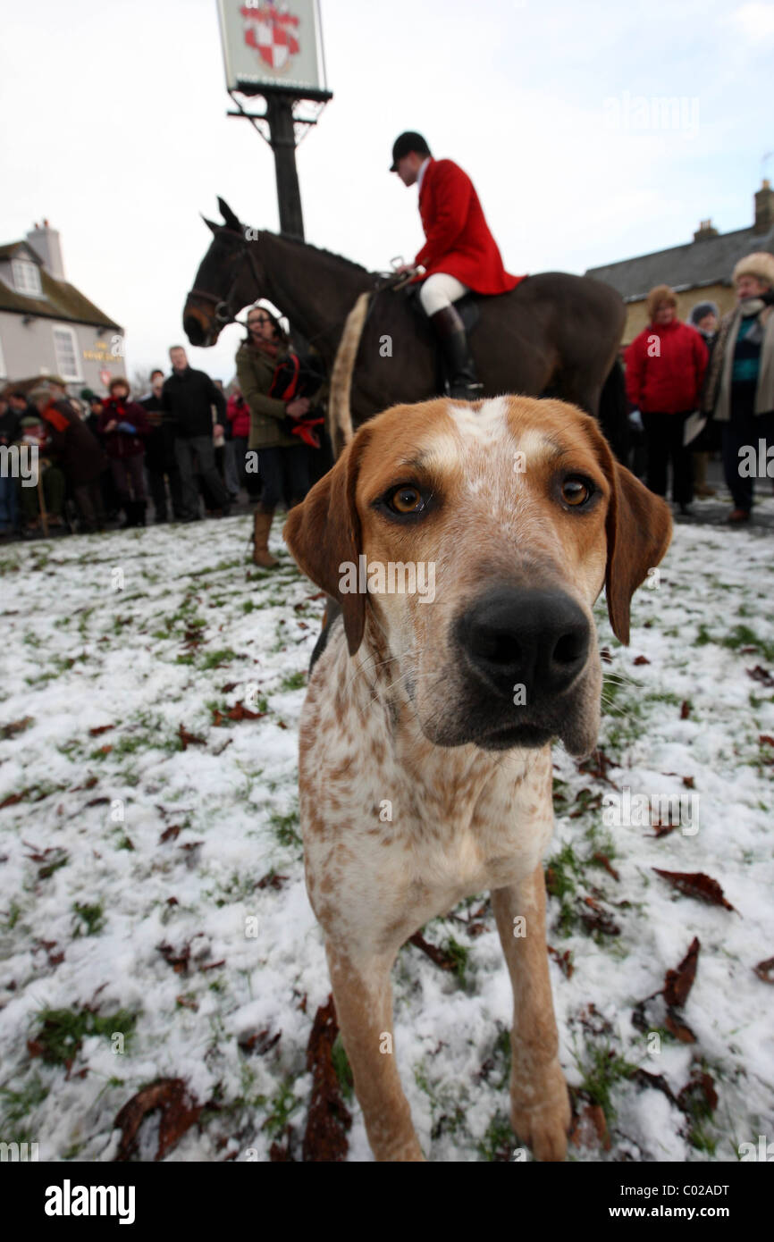 The Cambridgeshire with Enfield Chase Hunt meeting up at Eltisley Green ...