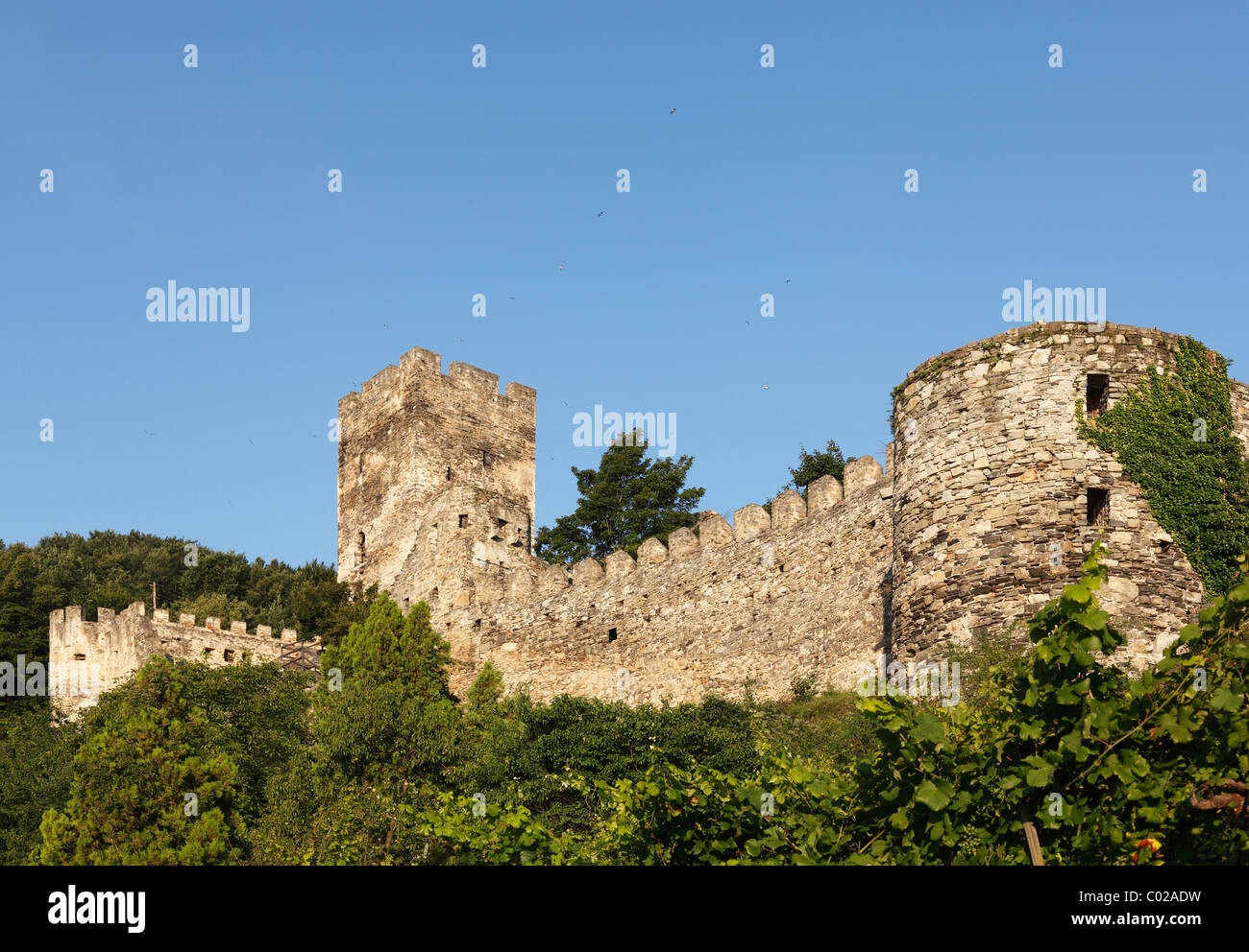 Ruins of Hinterhaus Castle, Spitz, Wachau, Waldviertel, Lower Austria ...
