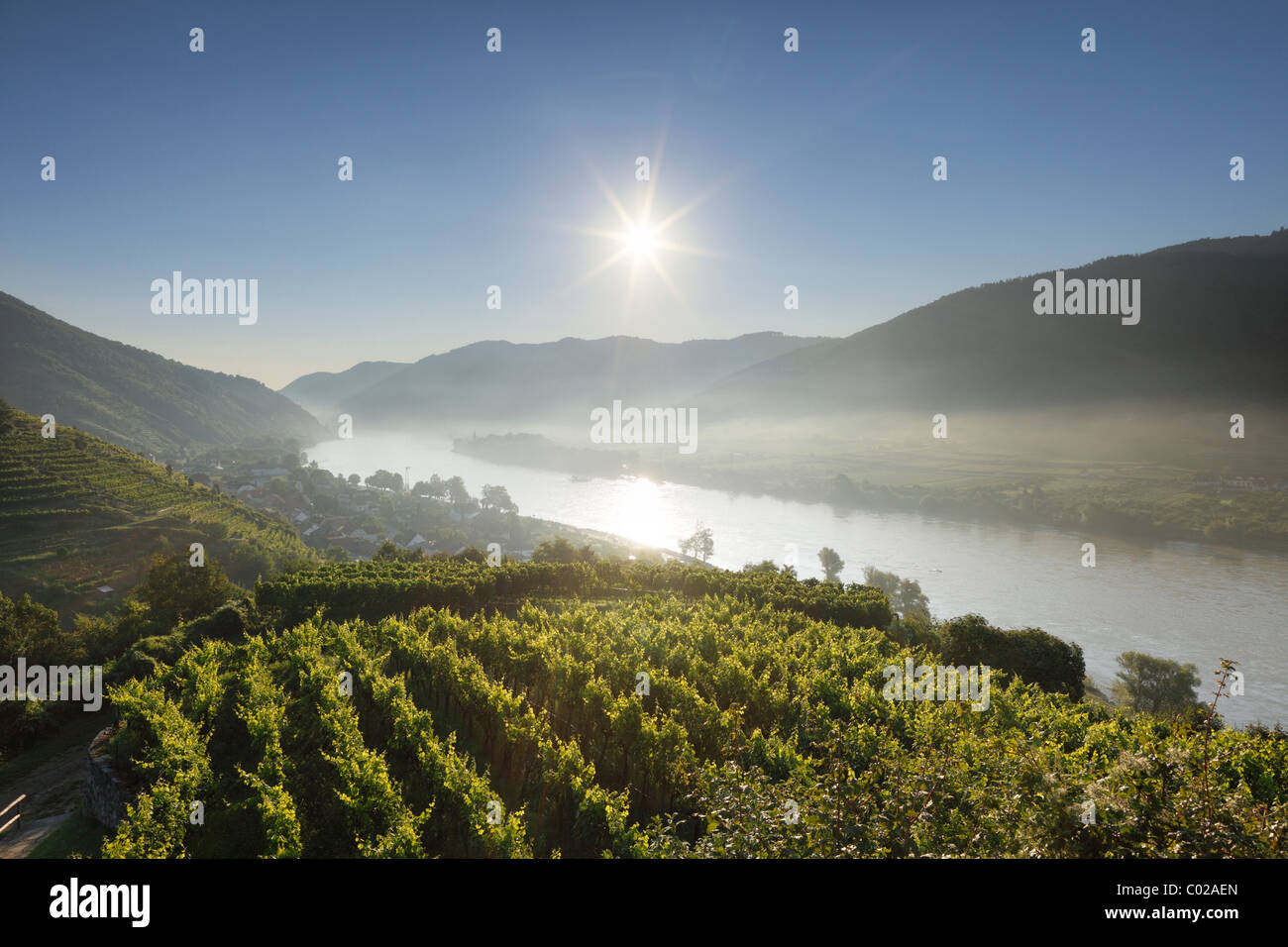 Vineyards along the Danube River, Spitz, view from Hinterhaus Castle ...