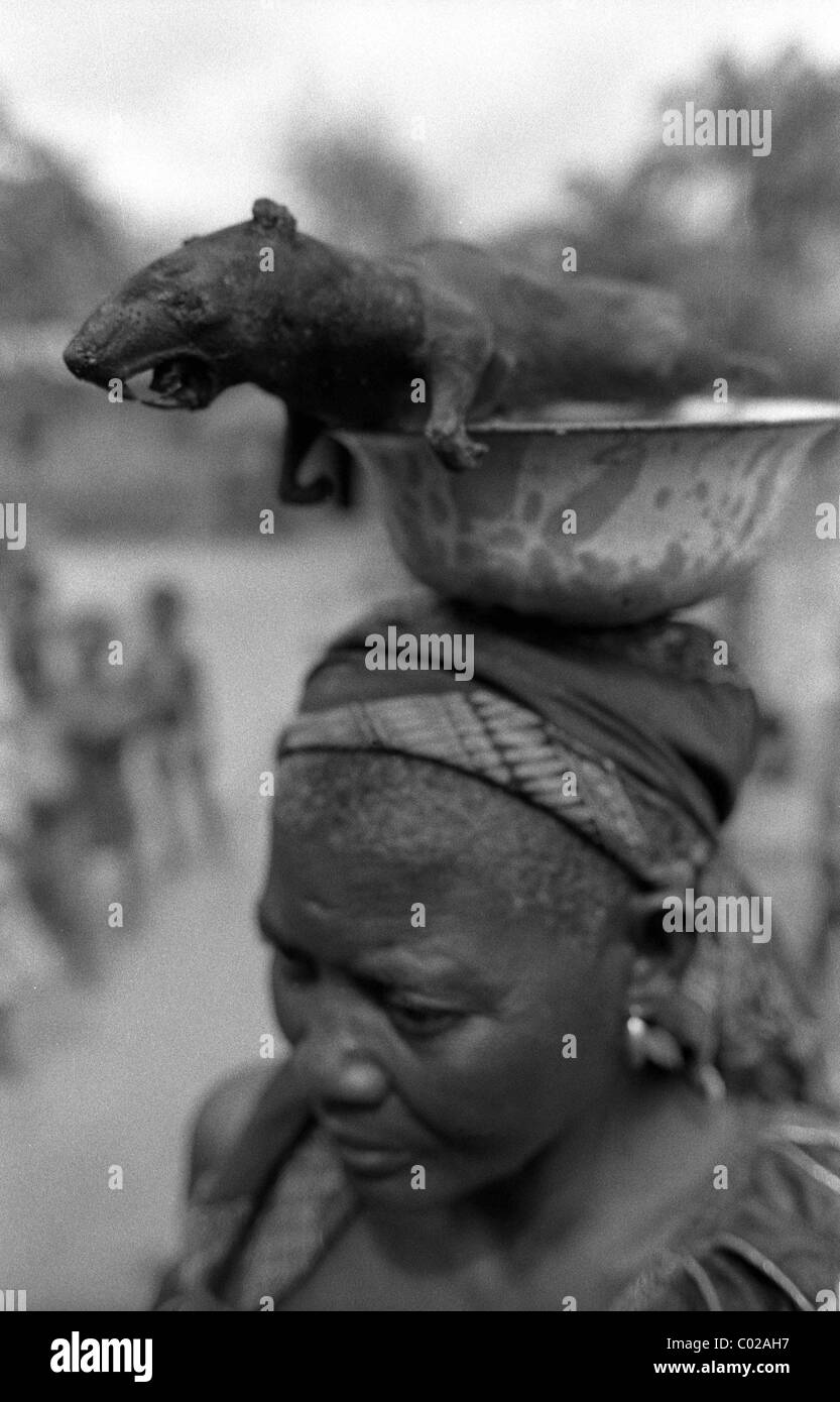 Cooked rat hi-res stock photography and images - Alamy