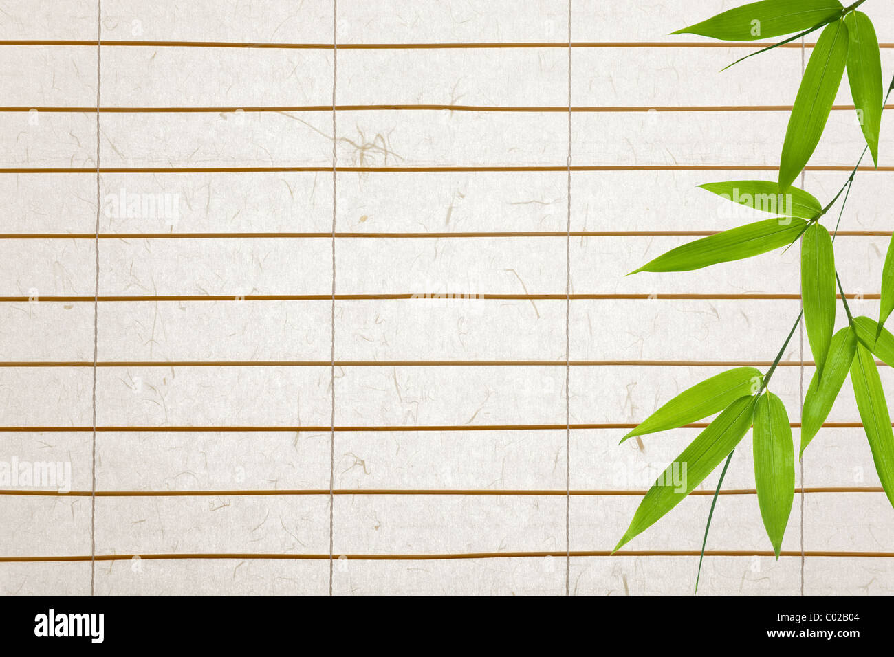rice paper background with bamboo leaves Stock Photo - Alamy