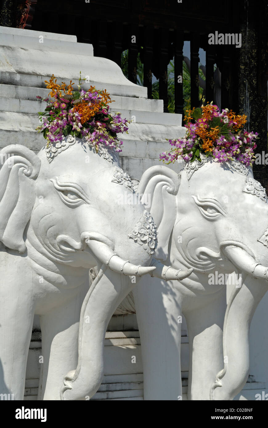 white elephant statues at Rajapruak royal garden,Chiang Mai,Thailand ...