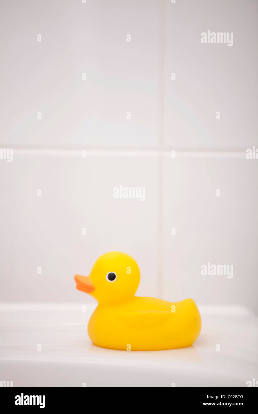Rubber duck, duckie, bathing Stock Photo - Alamy