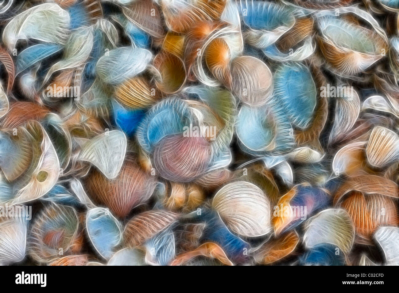 Texture, sea shells, filtered fractally Stock Photo - Alamy