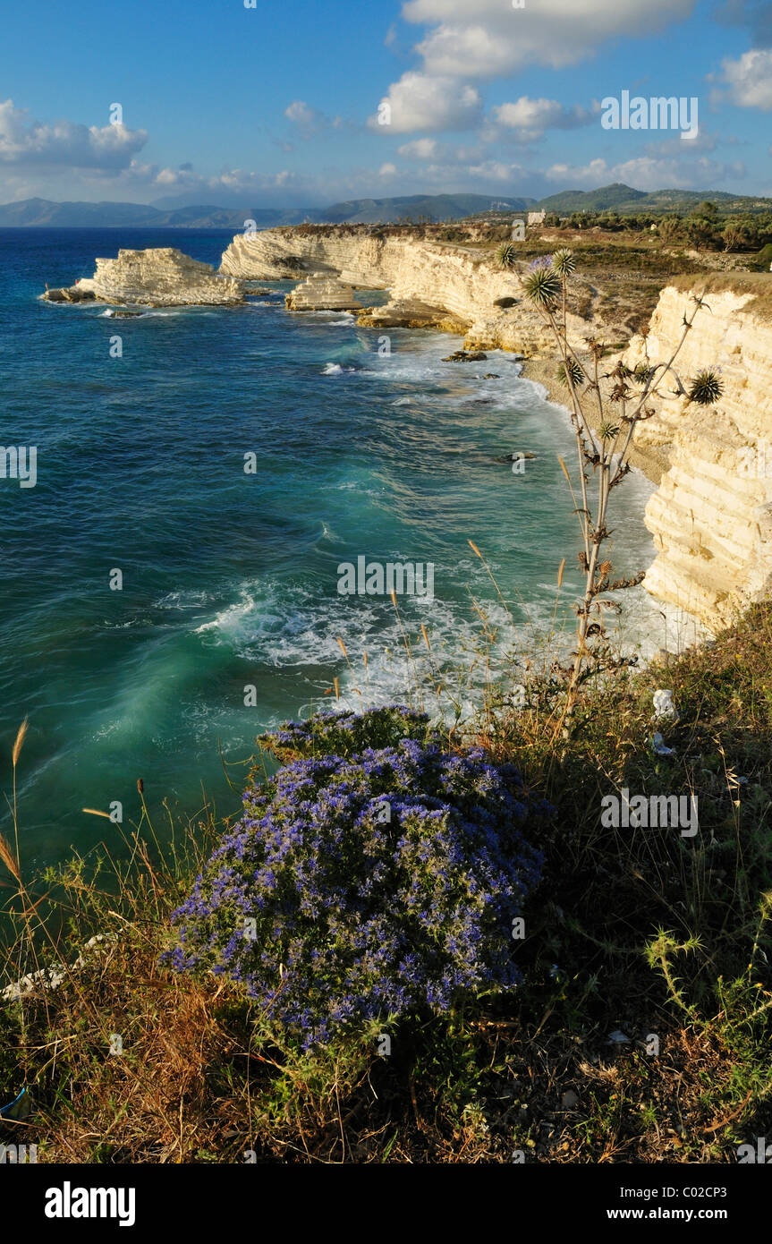 Coastal syria hi-res stock photography and images - Alamy
