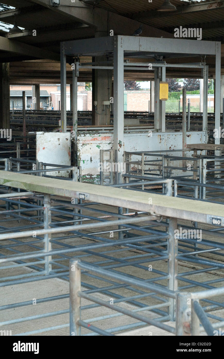 Sheep pens. Empty Taunton Livestock market not on a market day, months ...