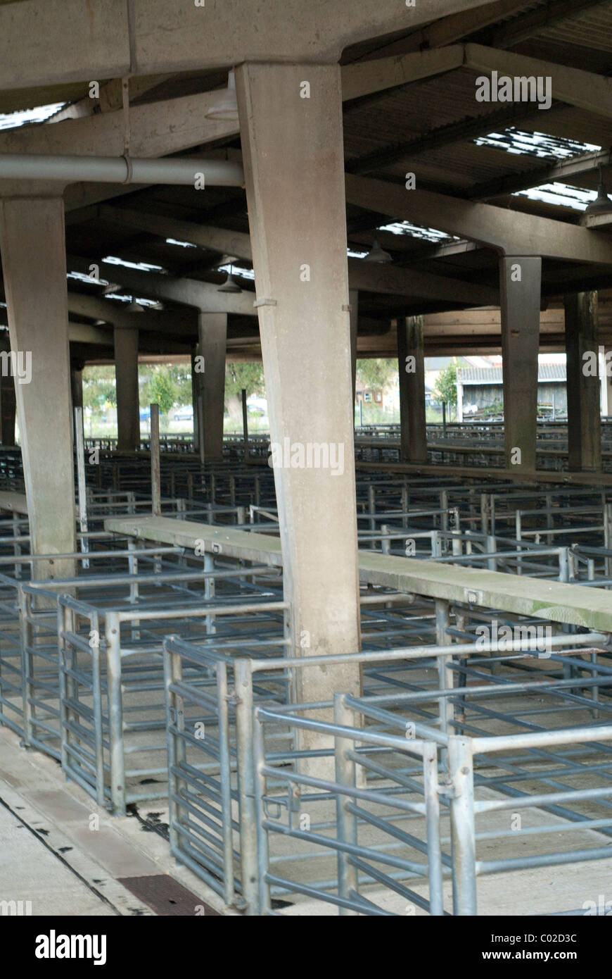 Sheep pens. Empty Taunton Livestock market not on a market day, months ...