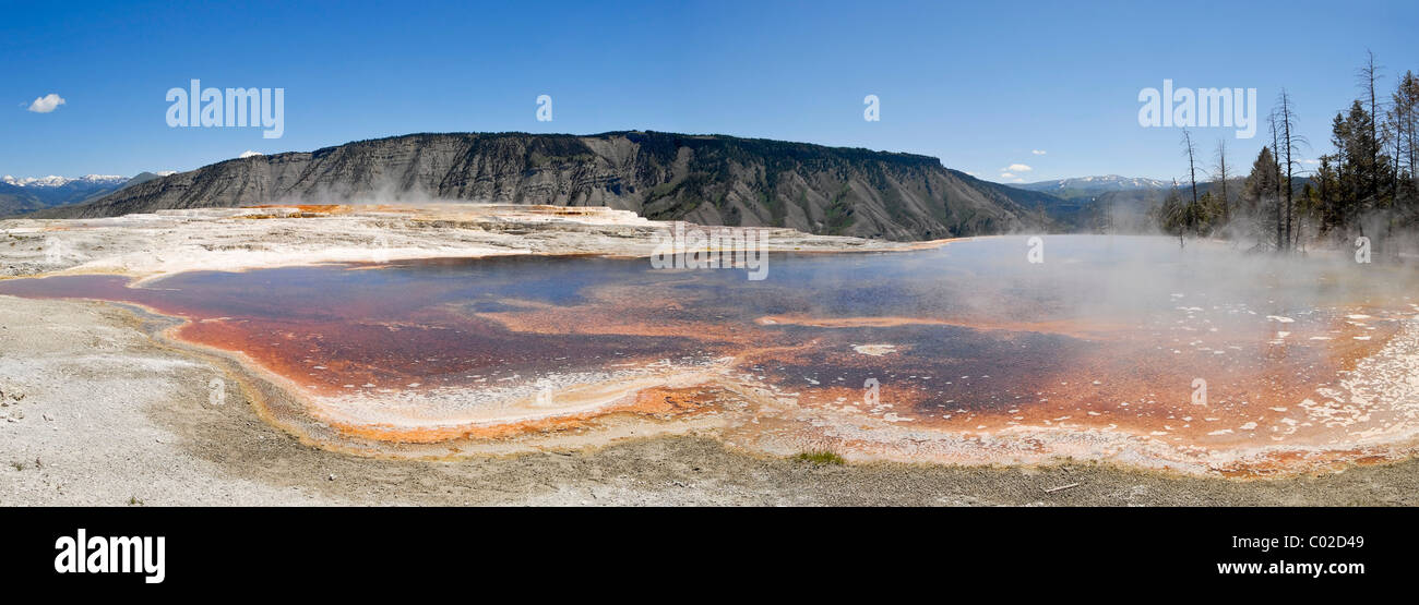 Panoramic view, view of Mount Everts from the Canary Spring, Mammoth ...