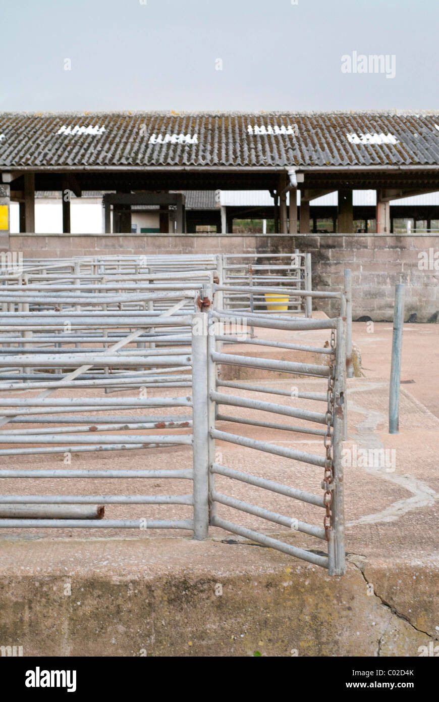 Empty cattle sheds hi-res stock photography and images - Alamy