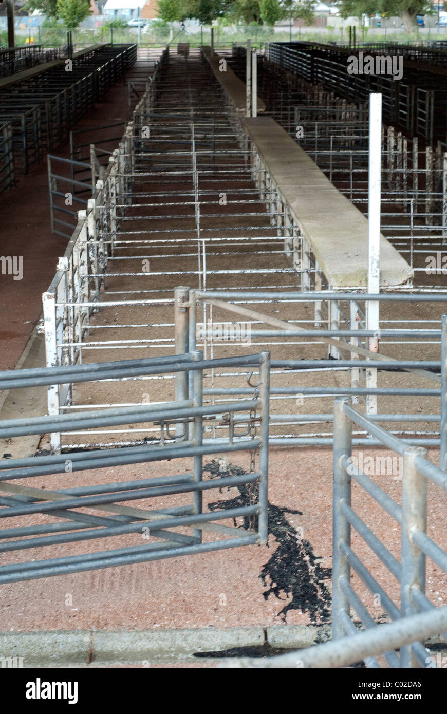 Empty cattle sheds hi-res stock photography and images - Alamy