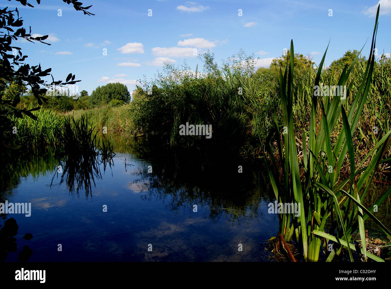 Itchen river hi-res stock photography and images - Alamy