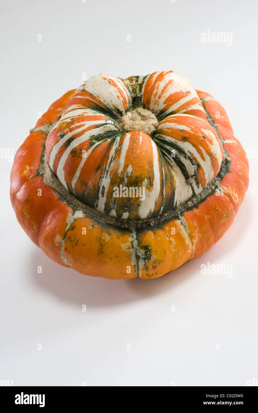 Turk's Turban squash, (Cucurbita maxima Stock Photo - Alamy