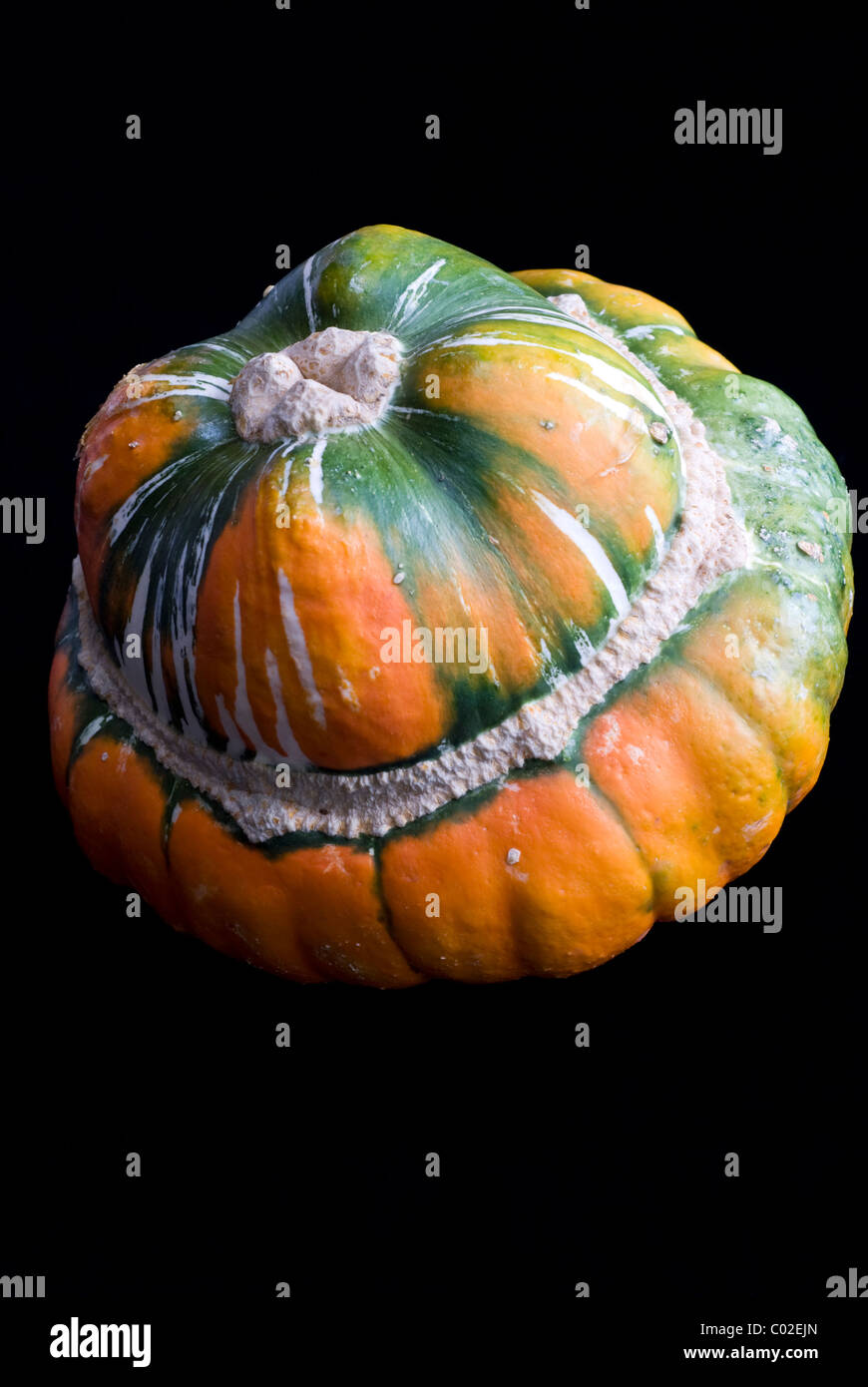 Turks turban squash hi-res stock photography and images - Alamy