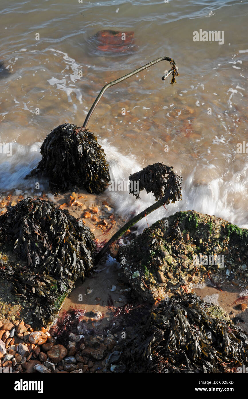 Lepe Beach contains the remains of many structures built to assist in ...