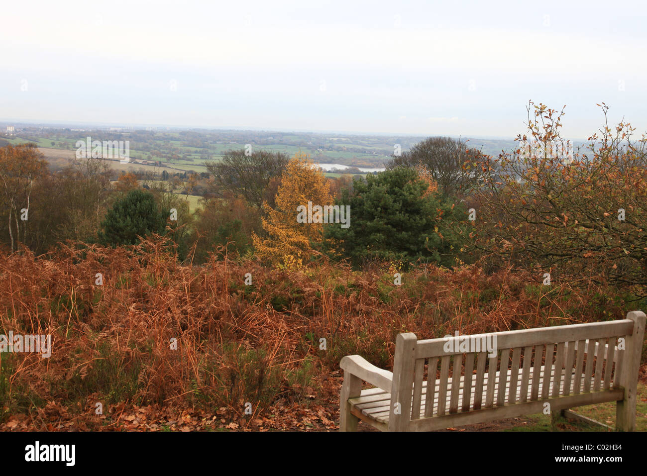 Bench view to hi-res stock photography and images - Alamy