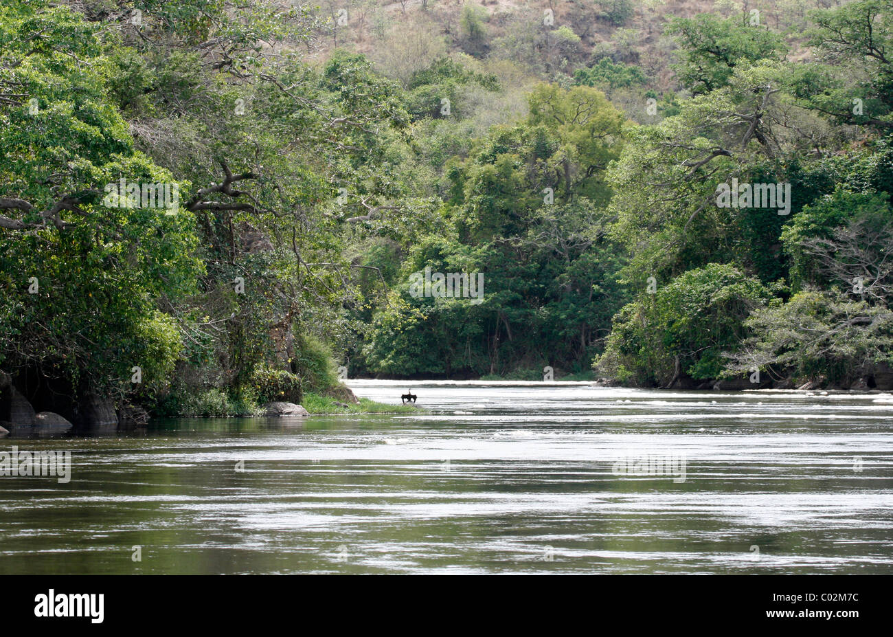 The last bend on the River Nile before reaching the bottom of the ...