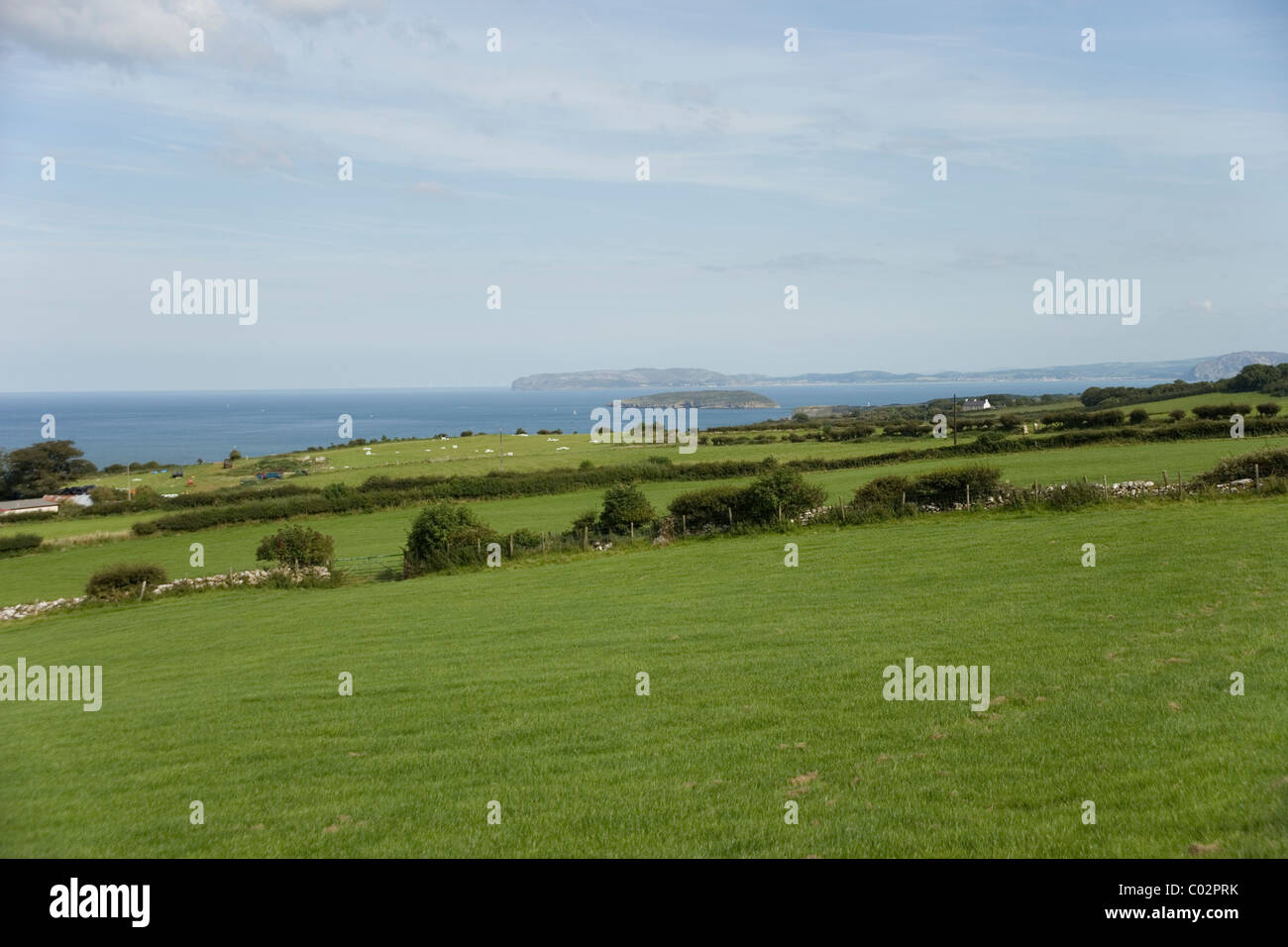 Puffin Island from the Anglesey Coastal Path Stock Photo - Alamy