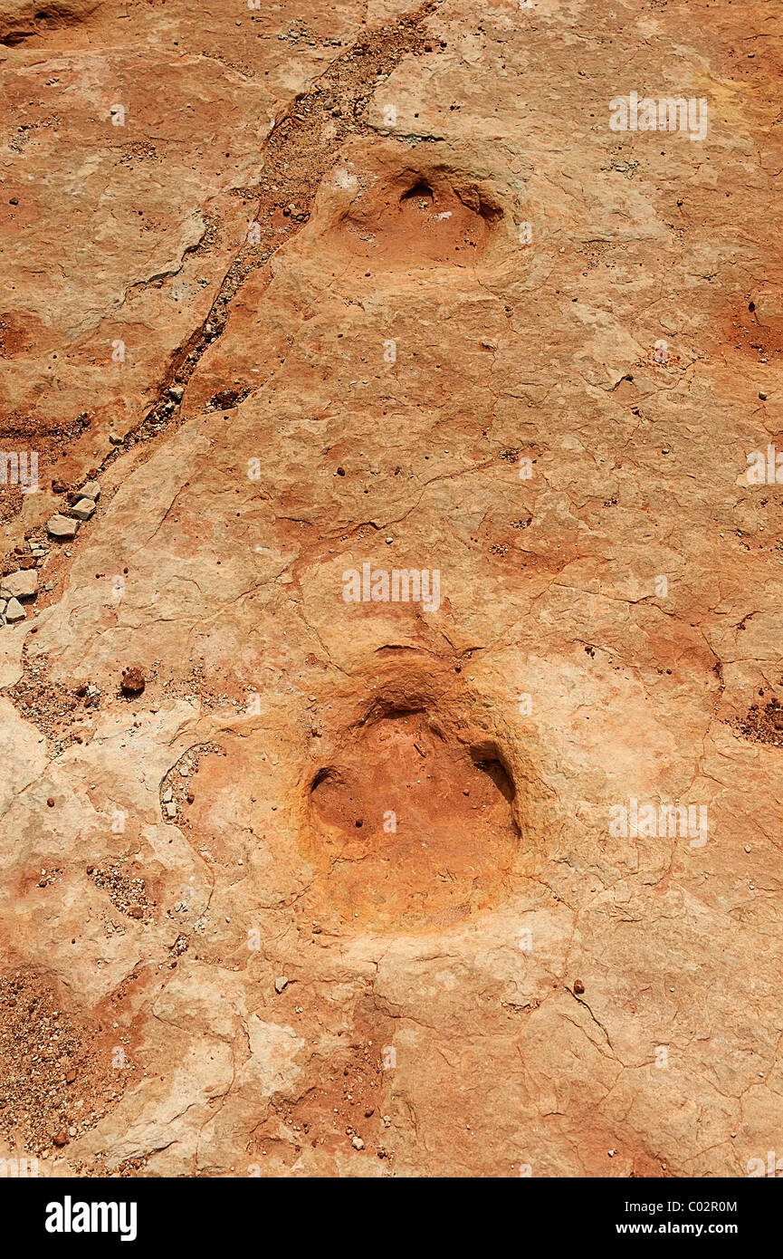Three toed dinosaur footprint hi-res stock photography and images - Alamy