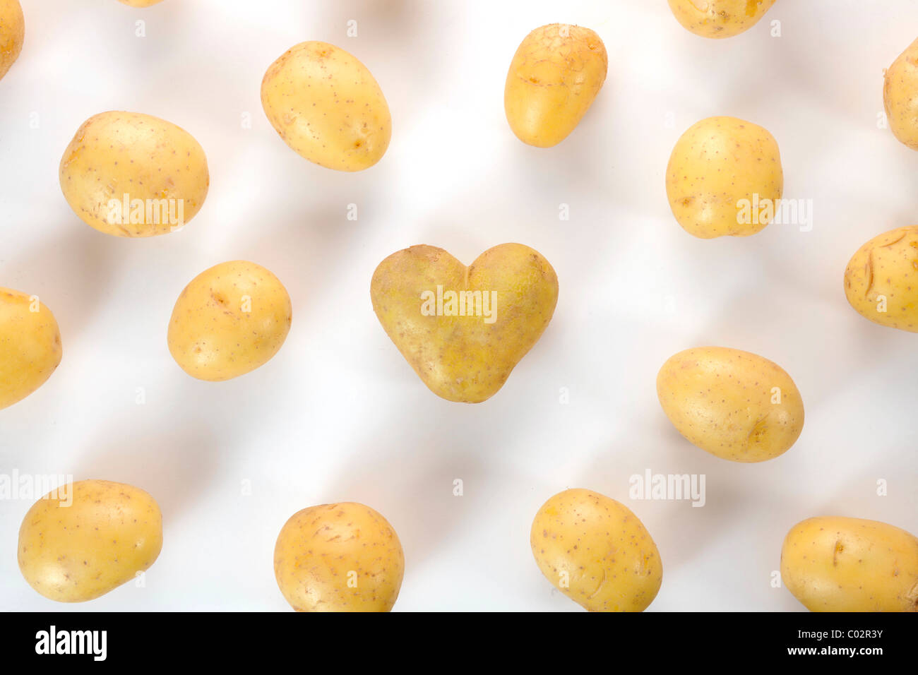 Several potato tubers hi-res stock photography and images - Alamy