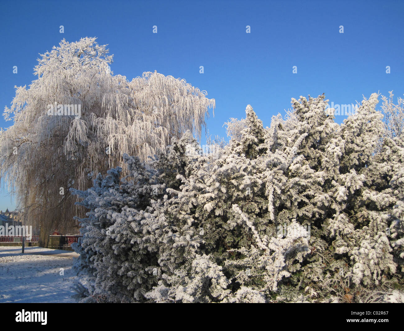 Attractive snow scene in Paisley on the outskirts of Glasgow Stock ...