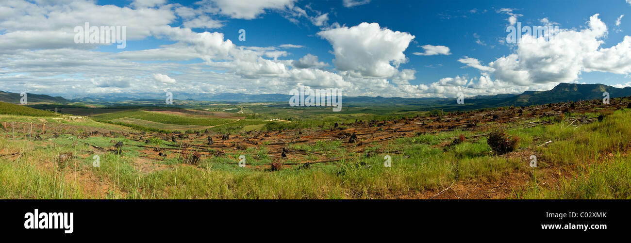 Old plantation hi-res stock photography and images - Alamy