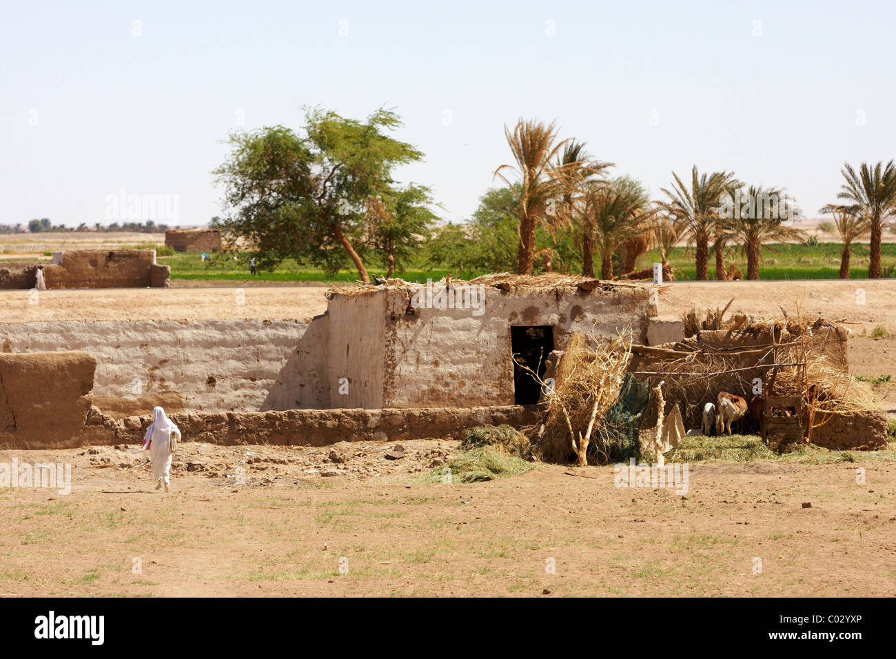 The nubian houses hi-res stock photography and images - Alamy