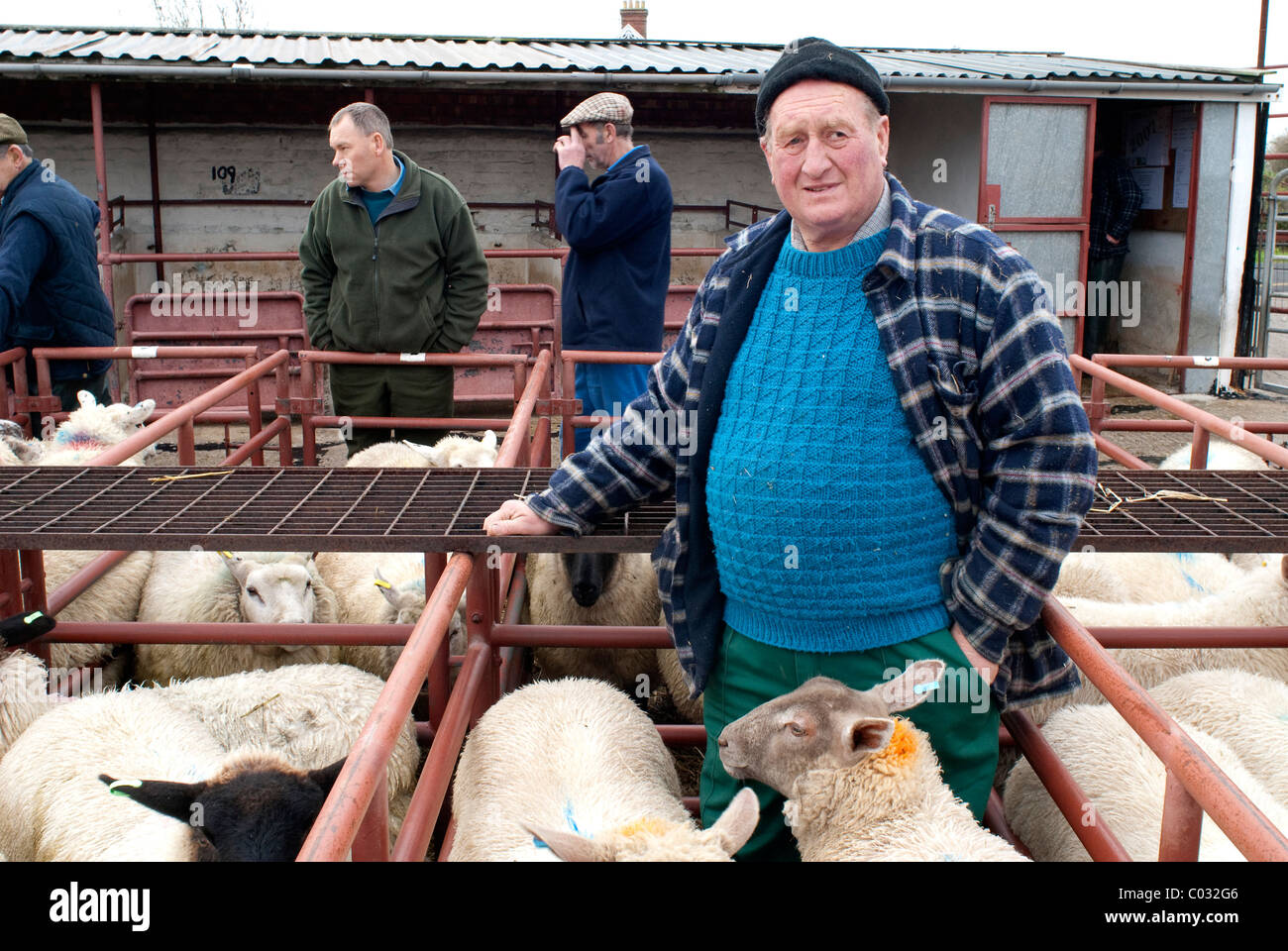 Highbridge livestock market hi-res stock photography and images - Alamy