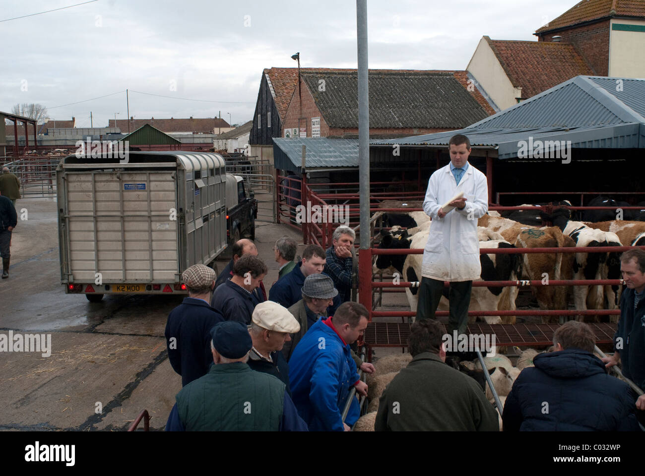 Highbridge livestock market hi-res stock photography and images - Alamy