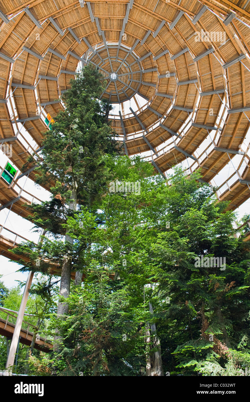 Tree tower, treetop walkway, Bavarian Forest National Park, Neuschoenau ...
