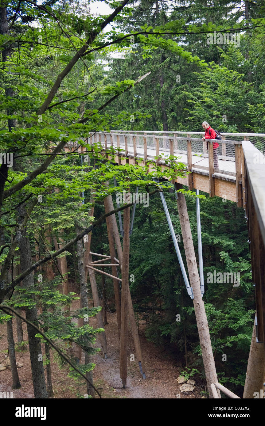 Treetop walkway, Bavarian Forest National Park, Neuschoenau, Lower ...