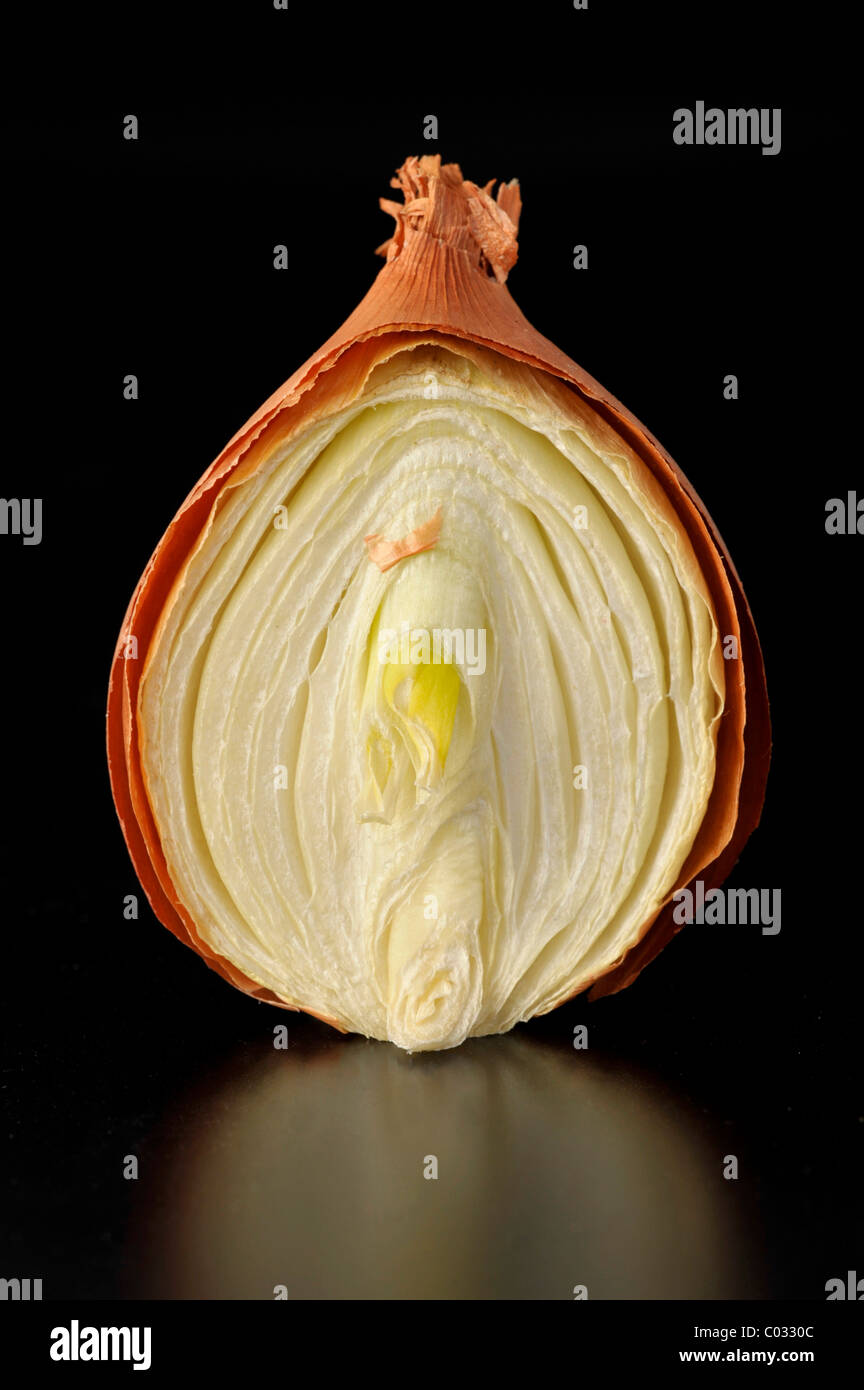Half of a dried-out onion Stock Photo - Alamy