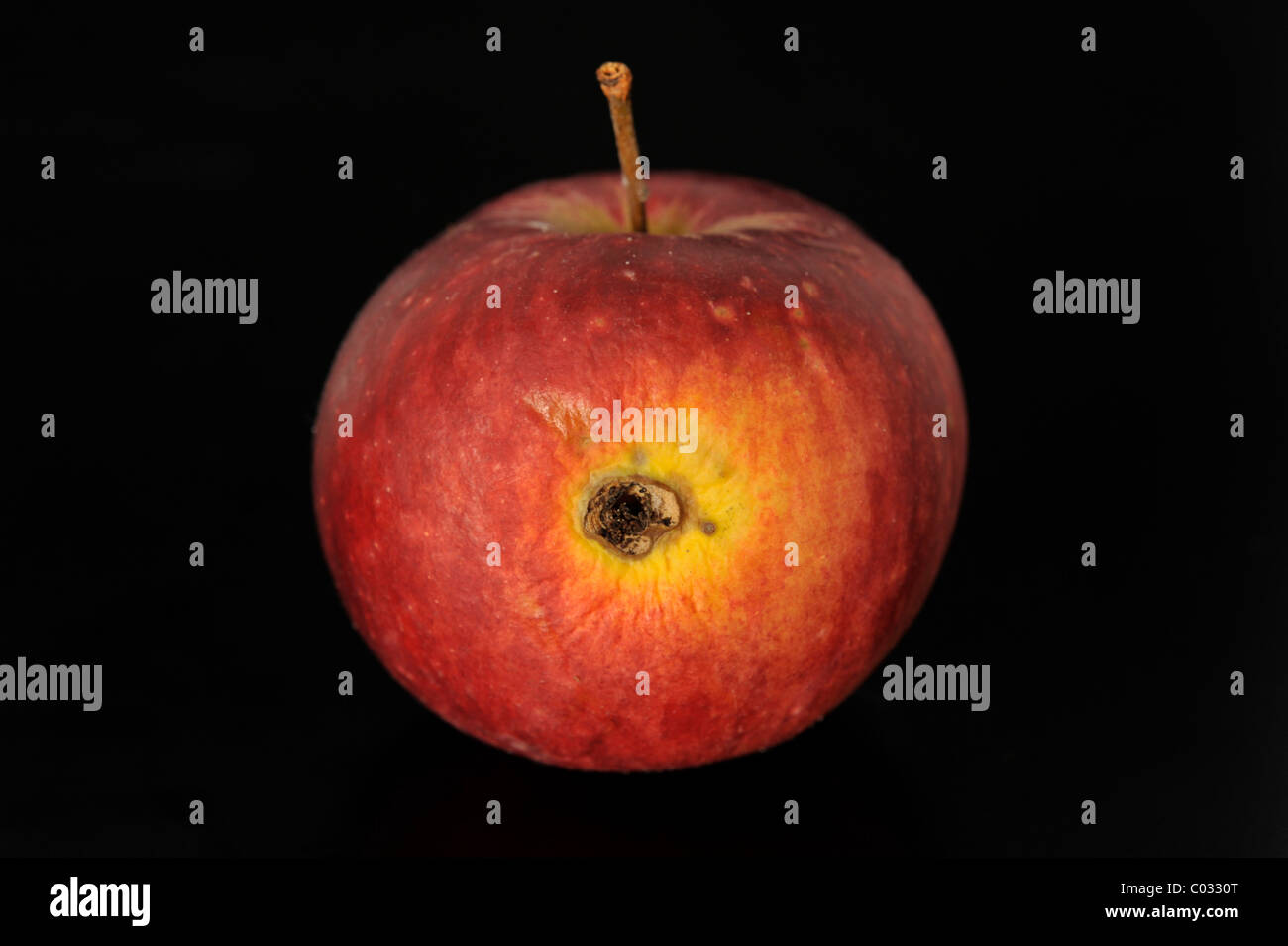 Rotten apple hi-res stock photography and images - Alamy