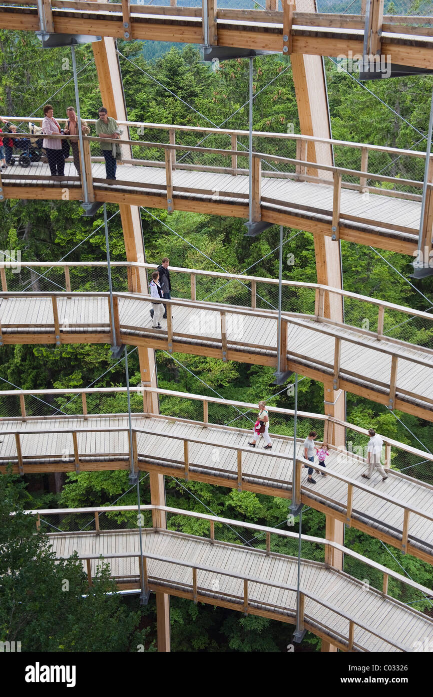 People visiting the tree tower, treetop walkway, Bavarian Forest ...