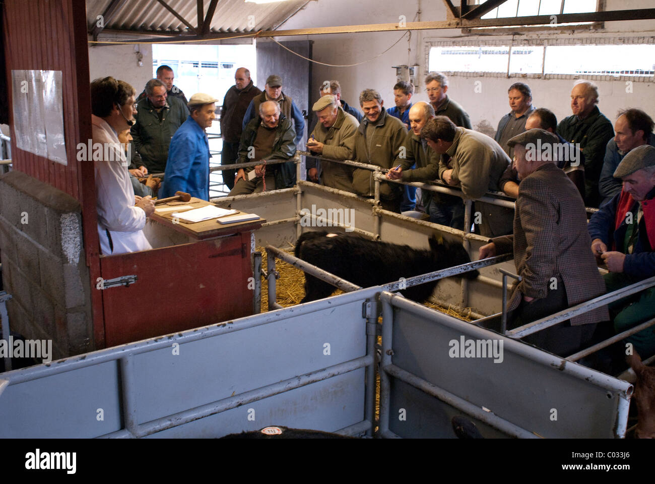 Highbridge Livestock Market High Resolution Stock Photography and ...