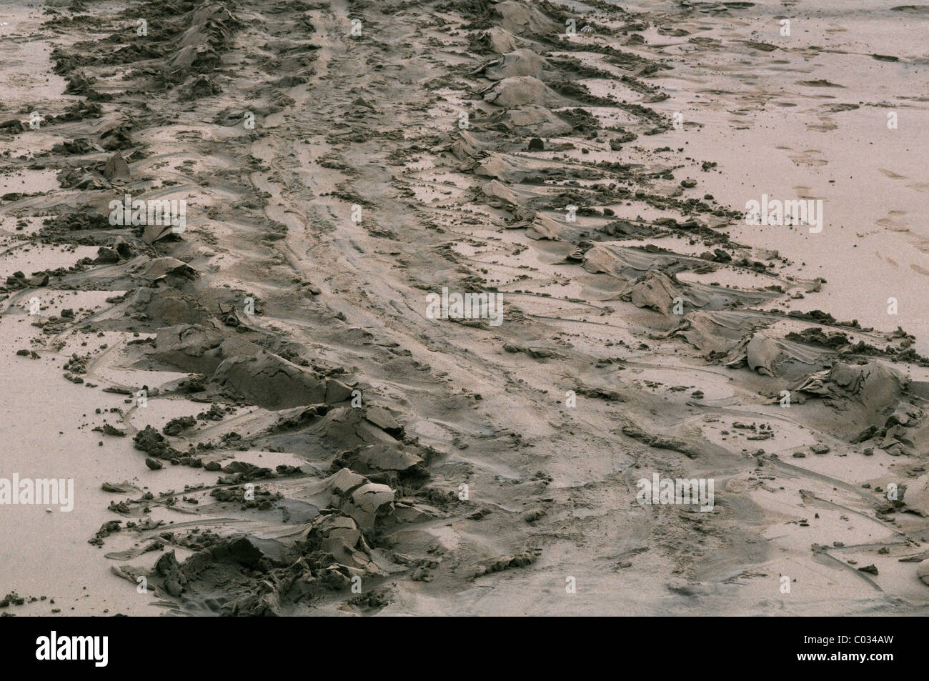 Leatherback turtle costa rica hi-res stock photography and images - Alamy