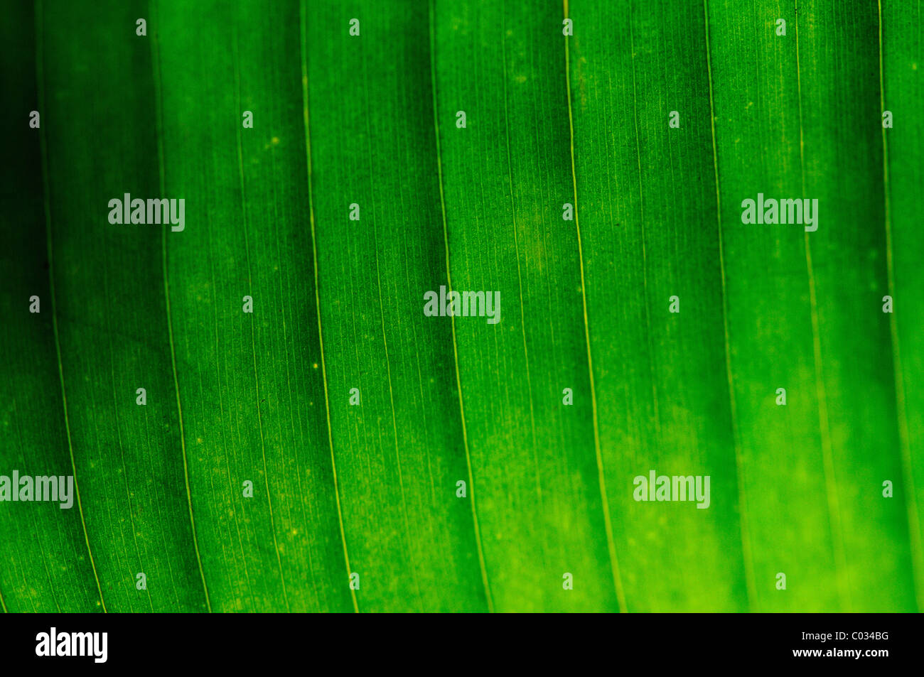 Micro pattern hi-res stock photography and images - Alamy